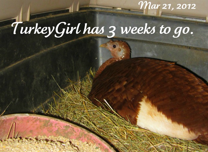 BooneDocksWilcox: just hangin'