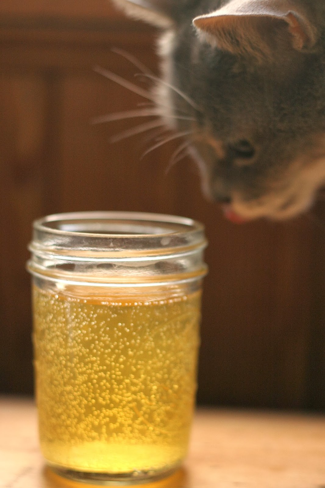 Along Came a Cider: Cider Review: Oyster River Winegrower's Hoboken ...