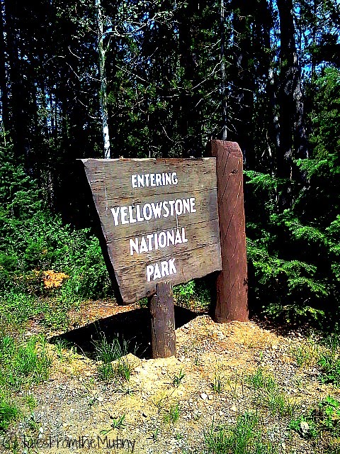 There Will Be Crowds…Yellowstone National Park – Tales From the Mutiny