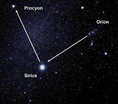 THE NATURE AND LIVING WORLD: Stars in galaxies