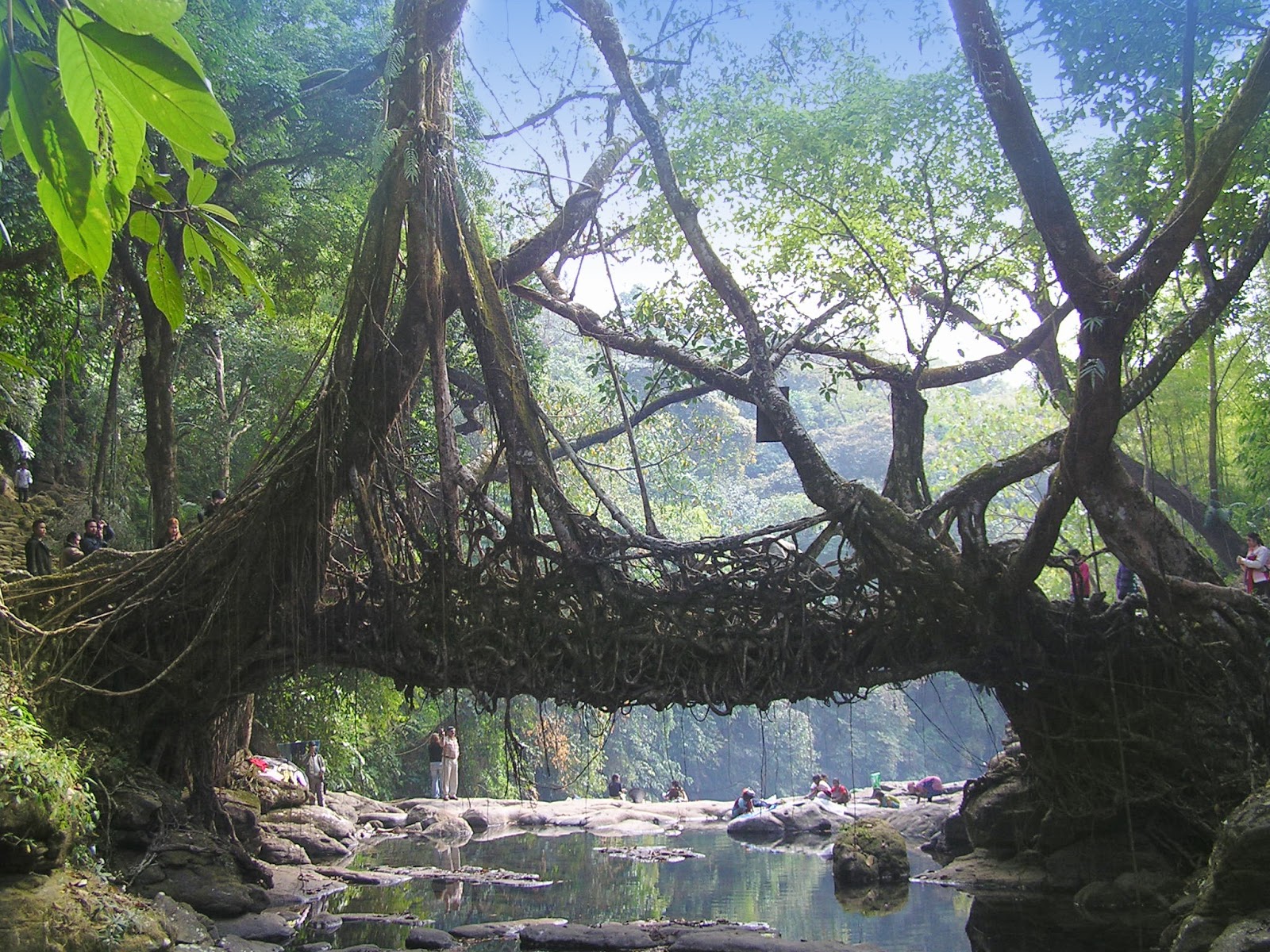 Mawsynram - Green Town of Meghalaya