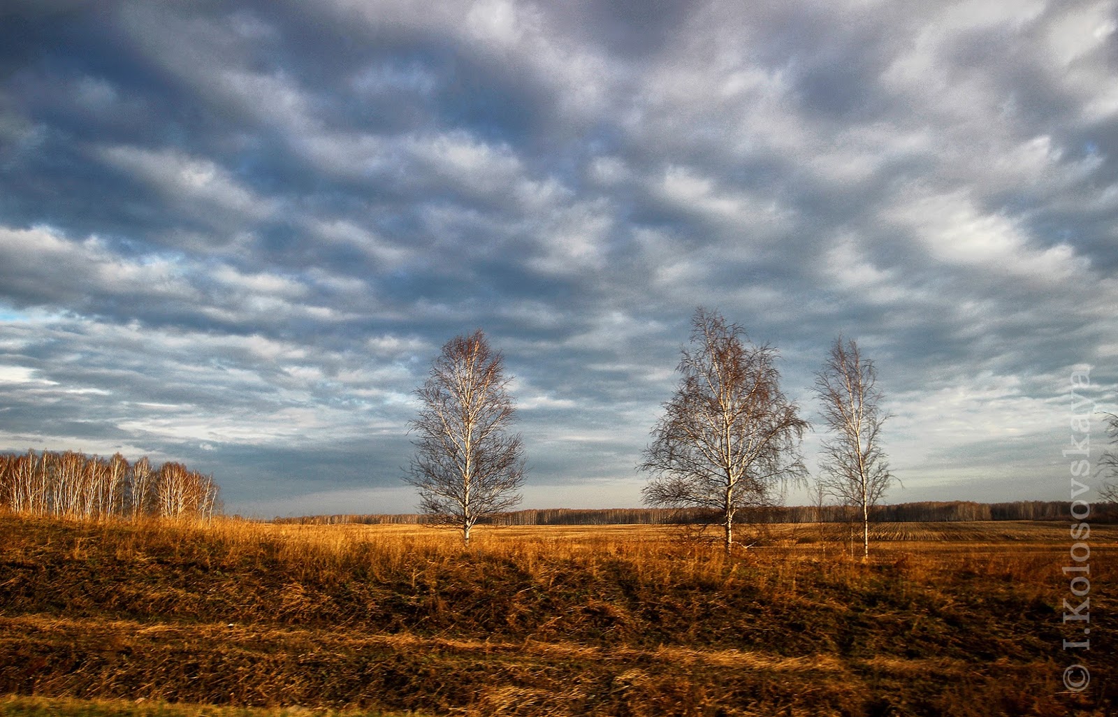 Photo Hacks: Placement of the Horizon in the Composition.