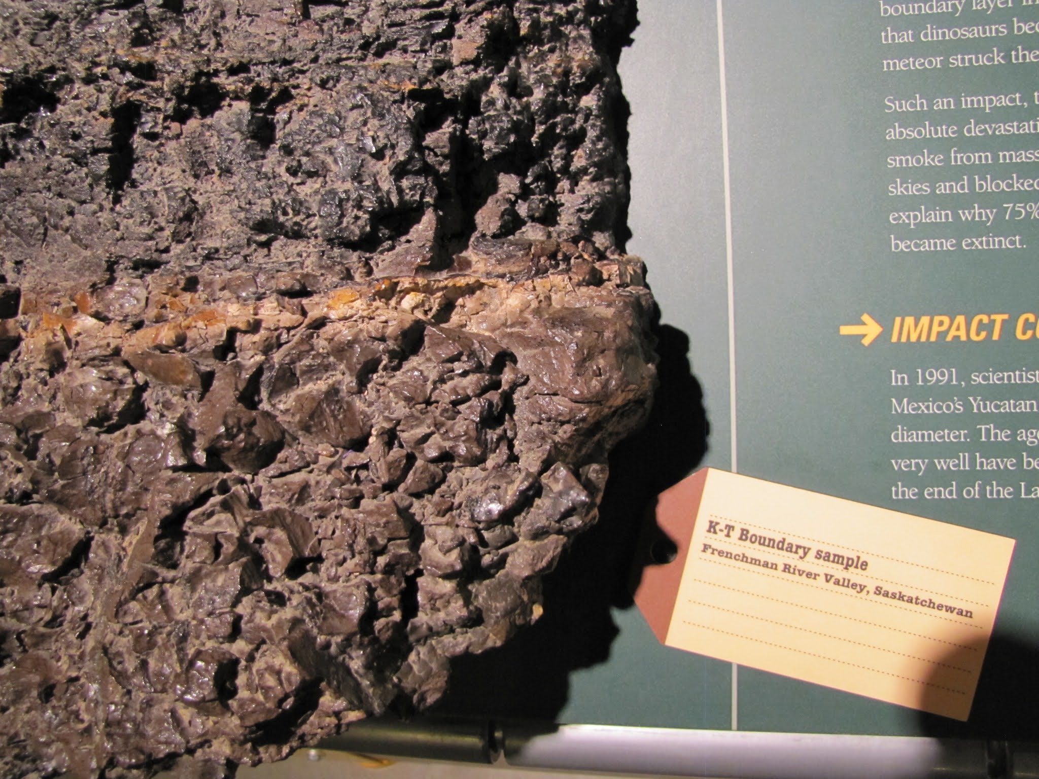 SOUTHWESTIAN: THE CYPRESS HILLS STRATIGRAPHIC SEQUENCE the significance ...