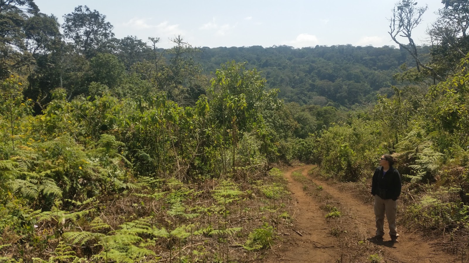 Times in Tanzania: Lugalo Forest Reserve