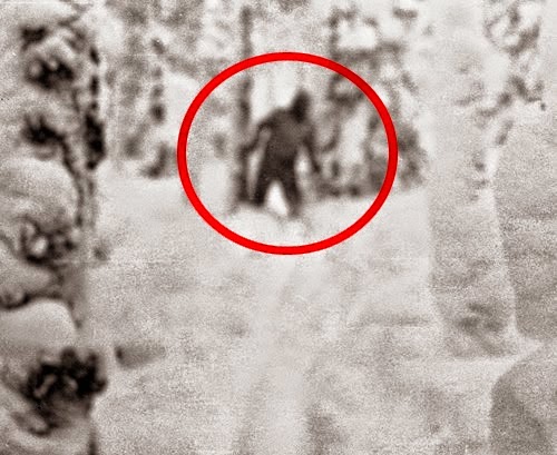Undebunking Bigfoot: The Possible Yeti Photographed in Russia was not ...