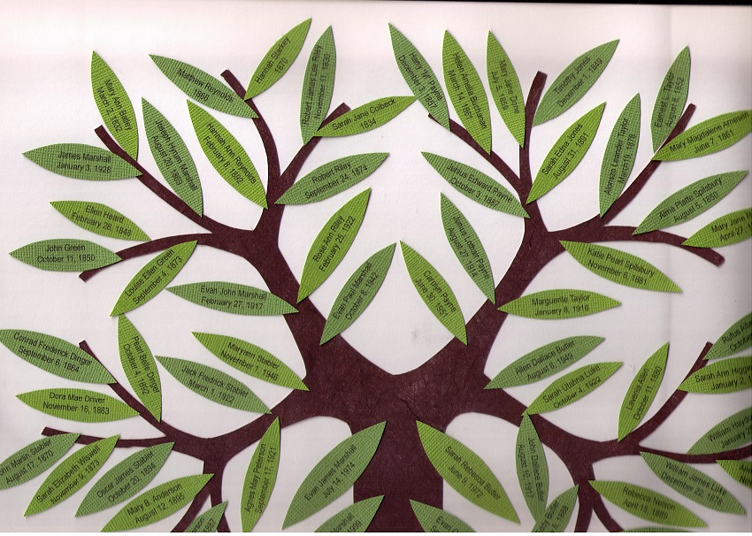 my shore: family tree paper craft