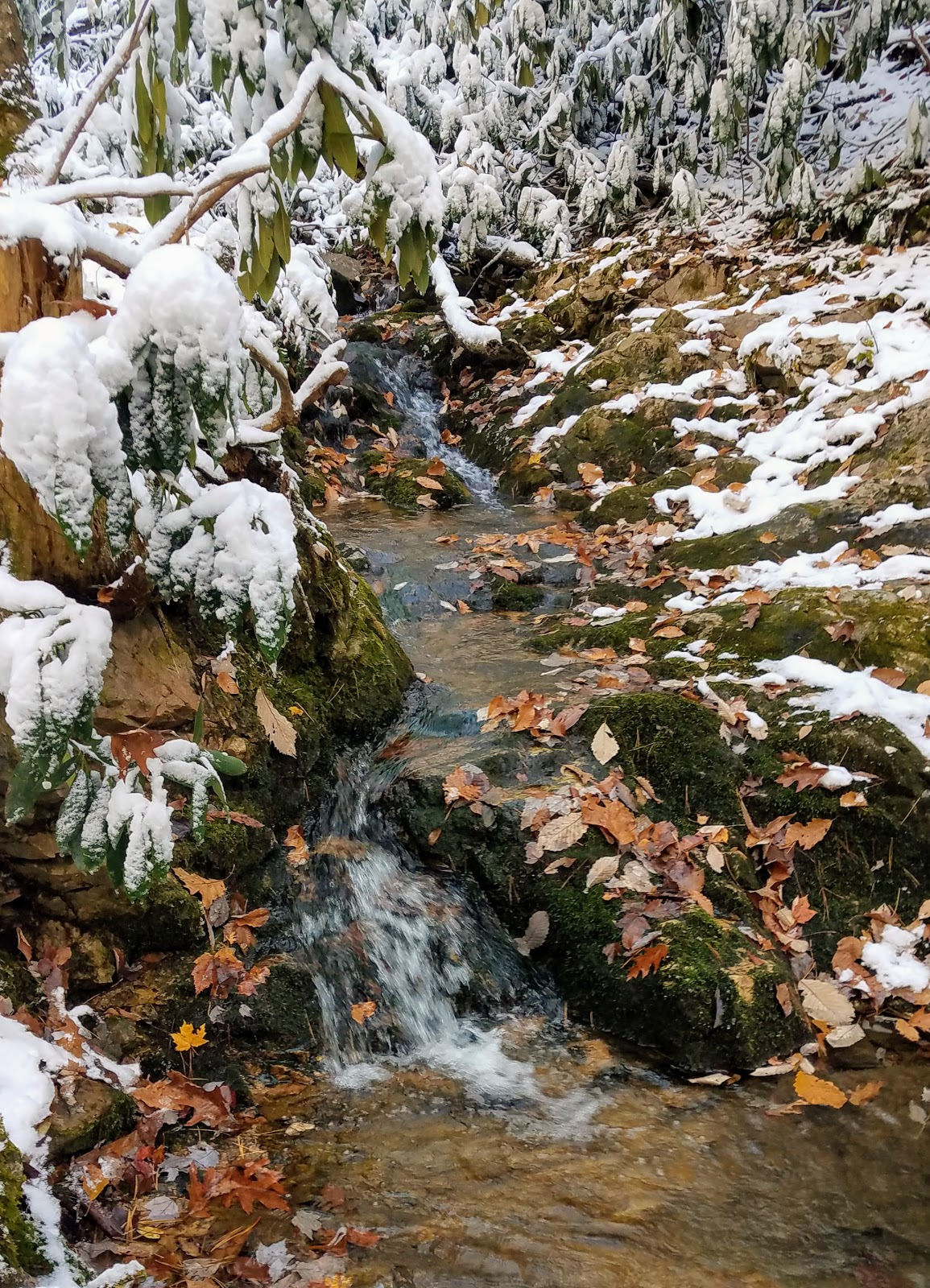 Tales From The Wood Booger: Snow Adventures In The Cherokee National Forest