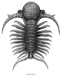 Life Before the Dinosaurs: Deiphon.