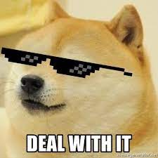 Deal with it の意味とサングラスについて-英語ネットスラング辞典