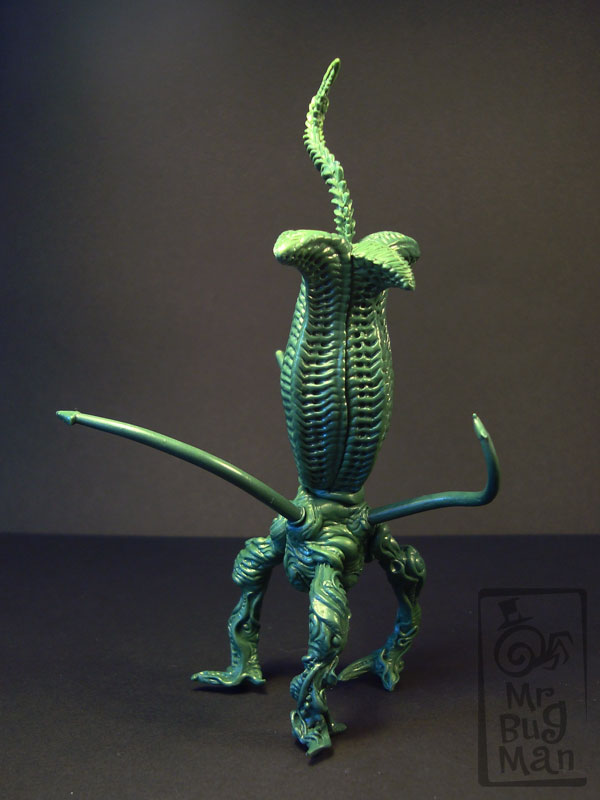 Mr. Bug Man: Adult Basidirond