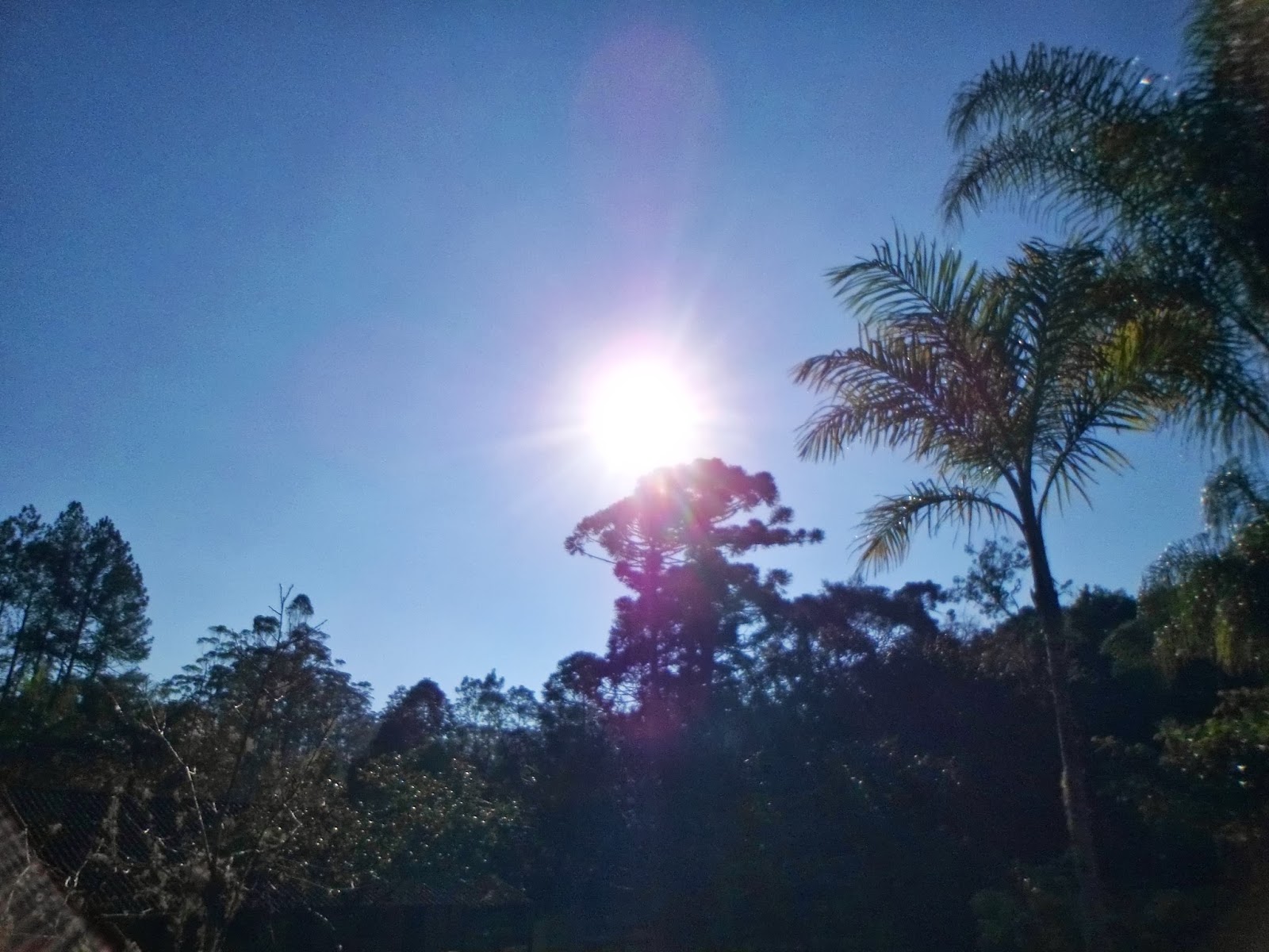 Trilhas e Viagens: Nucleo Santa Virginia