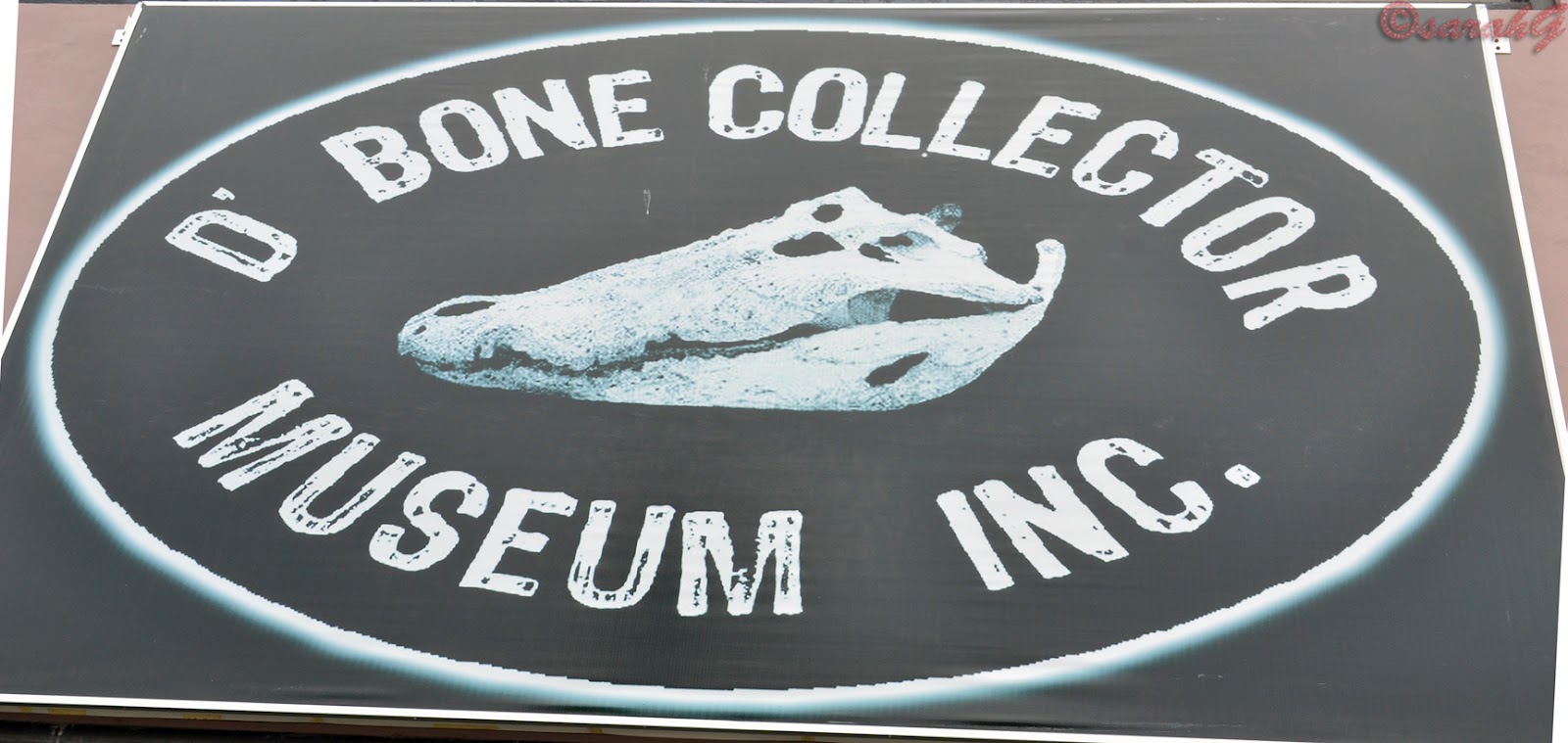 A trip to D' Bone Collector Museum Inc.