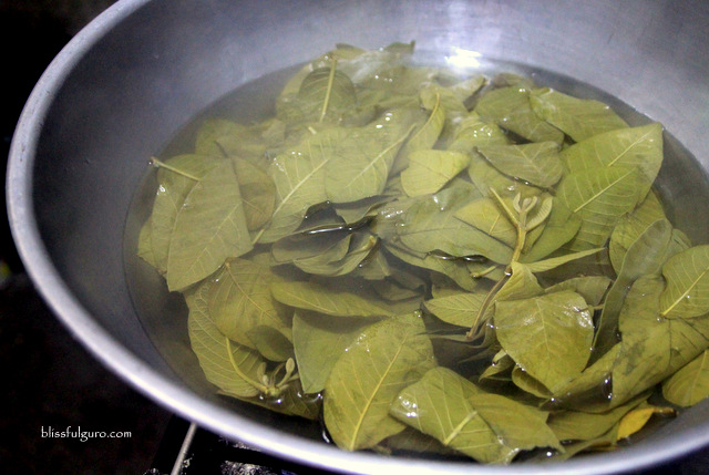 How to Cure Niknik (Sand Mite) Bites - blissfulguro