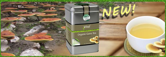 GanoVital singura cafea sanatoasa!: Produse