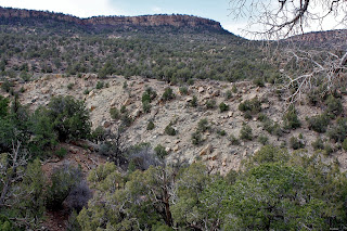 The Southwest Through Wide Brown Eyes: Just Another Curiosity Near ...