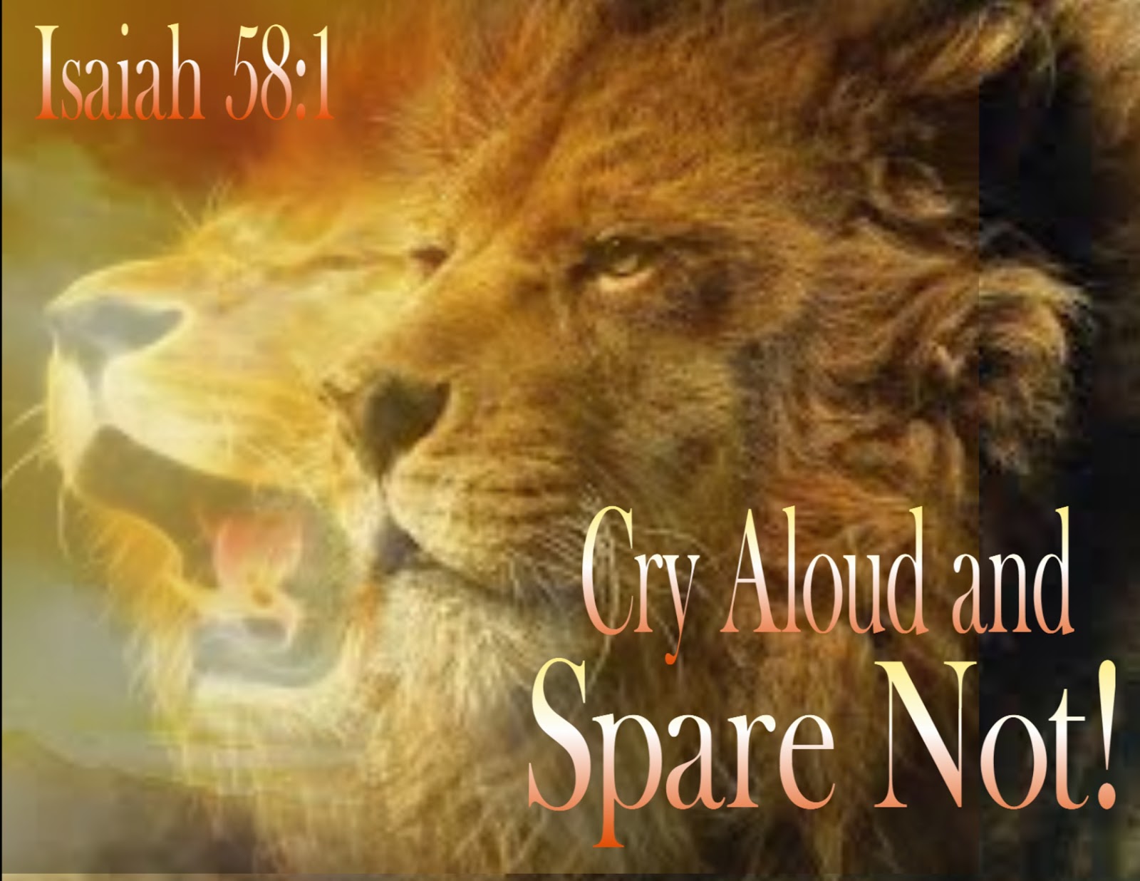 MaxEvangel: CRY ALOUD AND SPARE NOT!