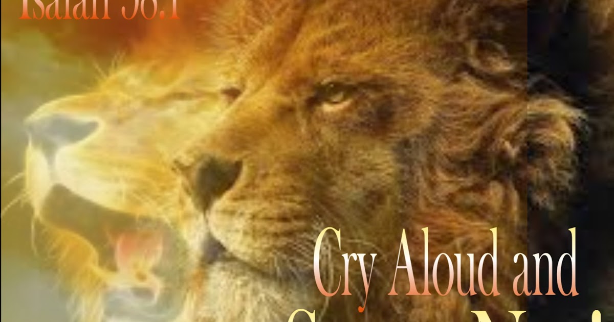 MaxEvangel: CRY ALOUD AND SPARE NOT!