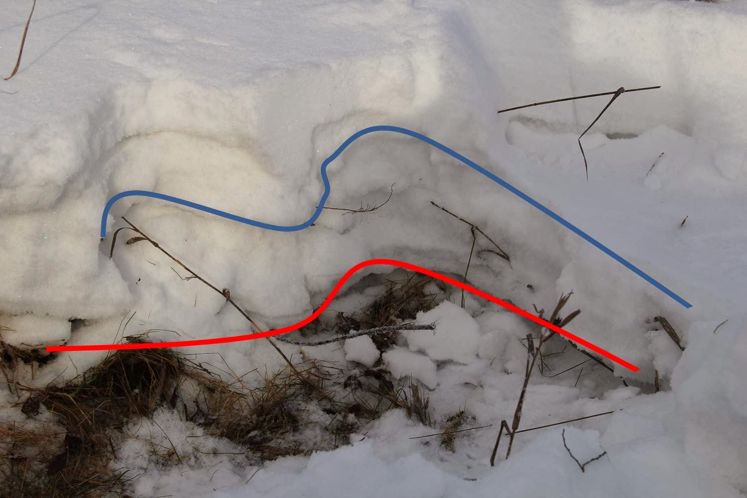 Isabella Conservation District Environmental Education Program: Next ...