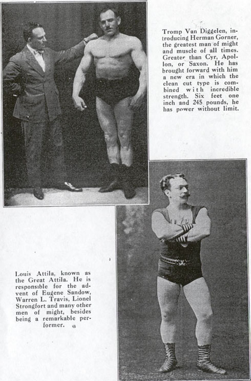 NATURALSTRENGTH.com - Old School Weight Training Strength Strongman ...