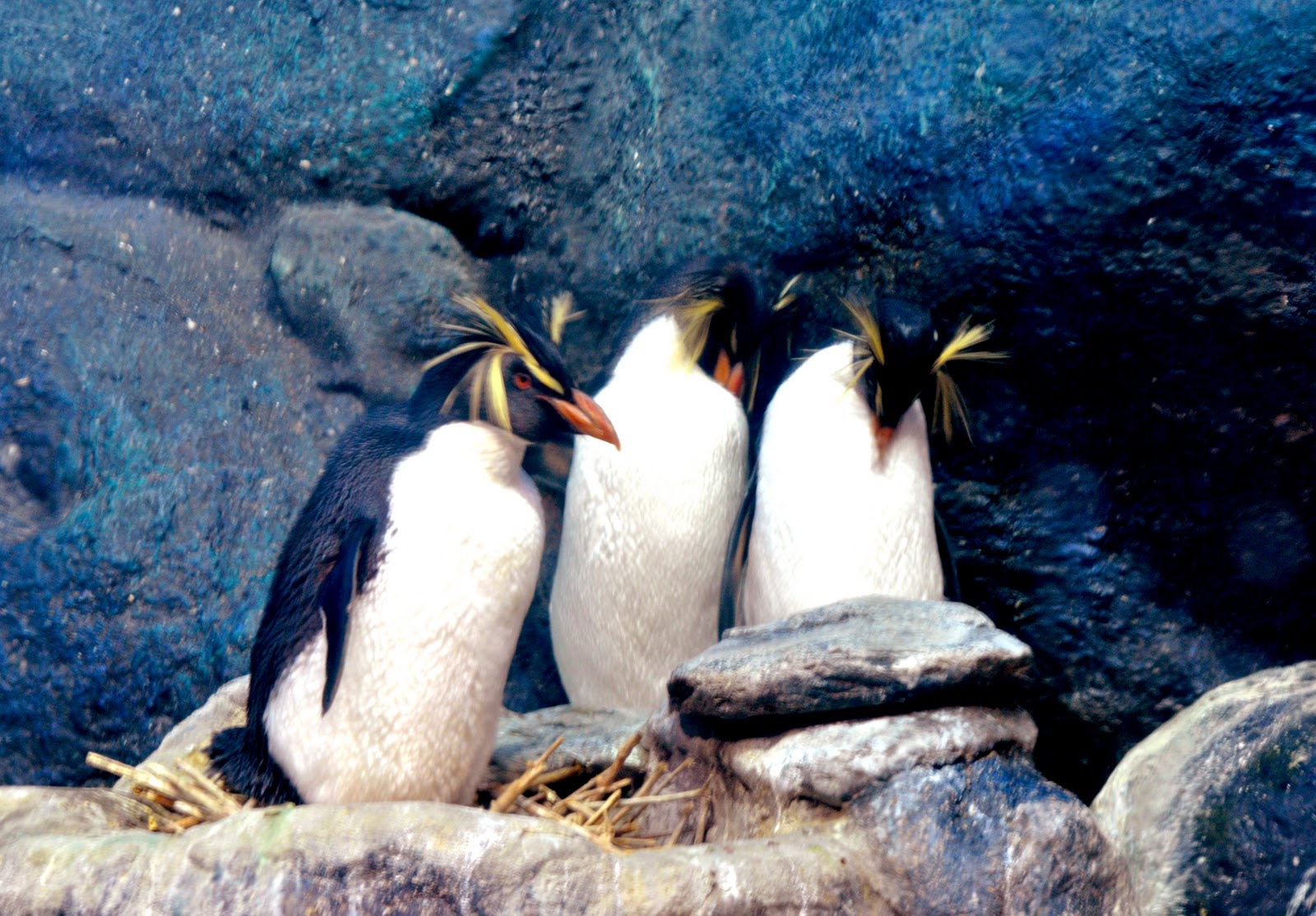 PRIMAL HOLIDAYS TOUR & TRAVEL LANGKAWI: Contact Us