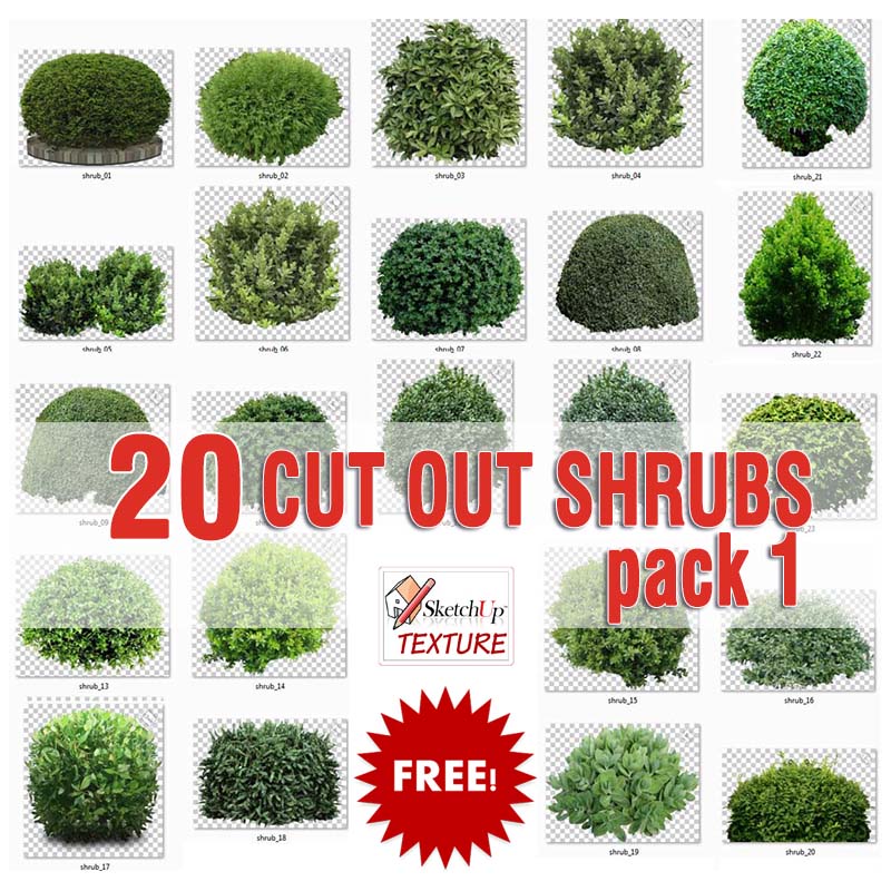 CUT OUT SHRUBS PNG COLLECTION #1