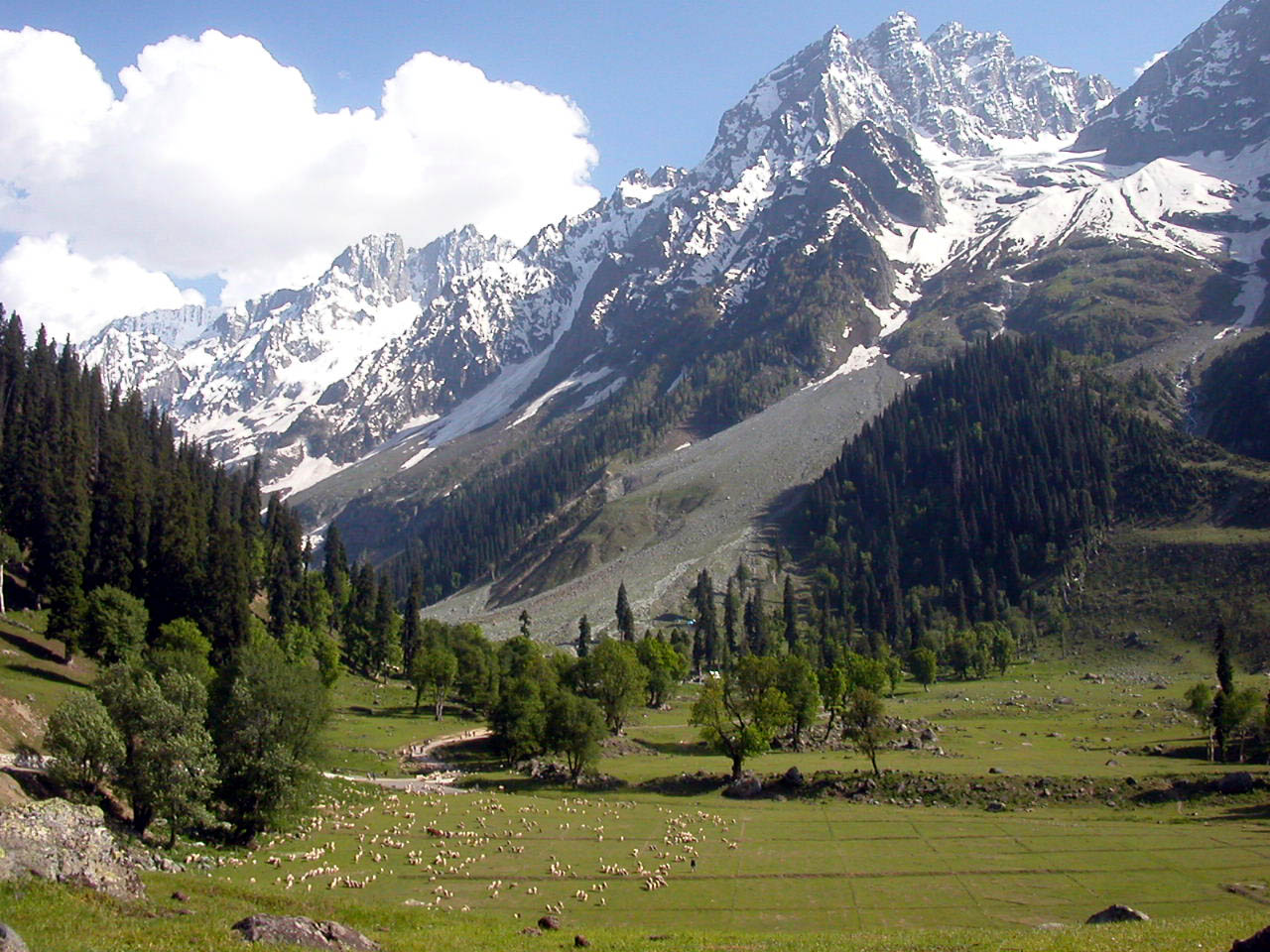 Amarnath Yatra Planning: Travel Tips | Insight India : A Travel Guide ...