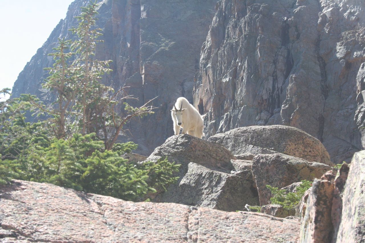 Vallecito Creek Backpacking & Leviathan Lake