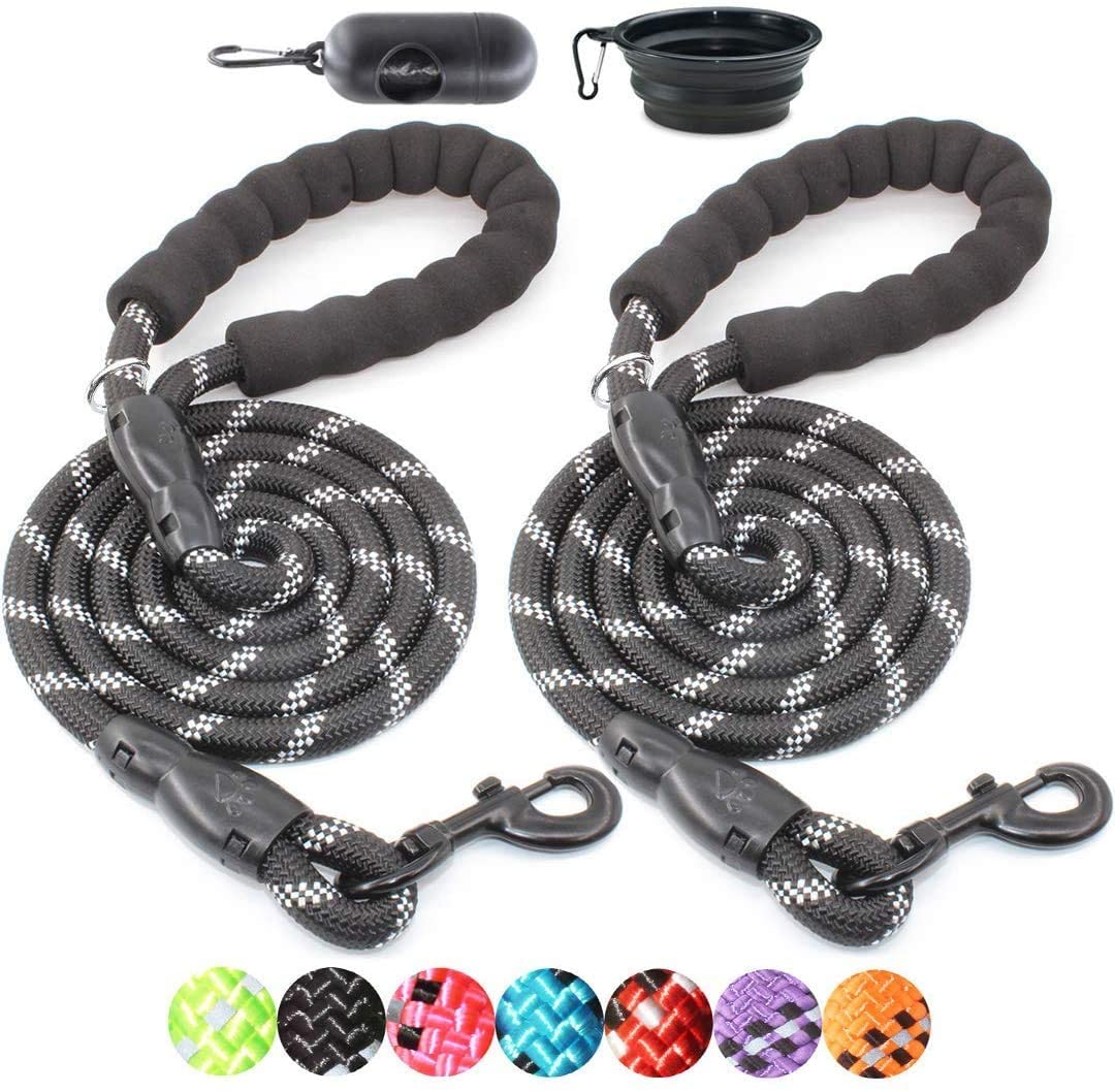 7 Best Dog Leashes in 2020 - Doglopedix