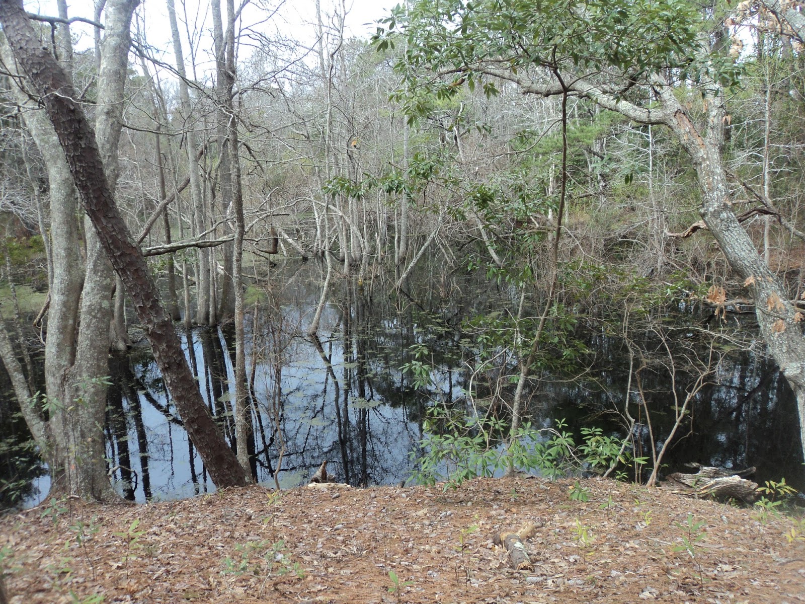 Parking Full Time Hiking Trail Journal: Nags Head Woods Preserve ...