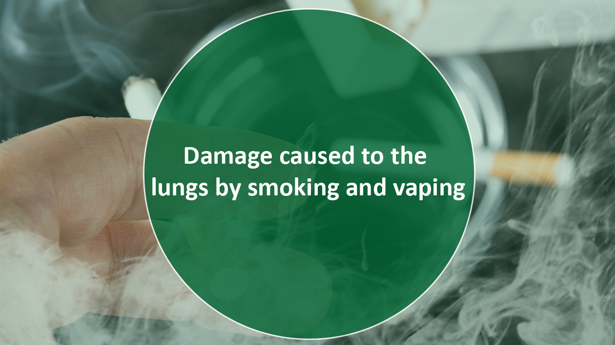 Turacoz Healthcare Solutions: Damage caused to the lungs by smoking and ...
