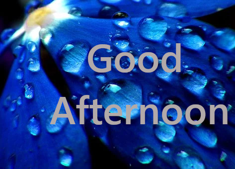 Top 10 Good Afternoon Pictures, Images, greeting ,Photos for Whatsapp ...