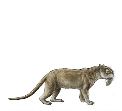 Creation - The Written Truth: BIZARE ANIMALS, CHALICOTHERE, ANISODON ...