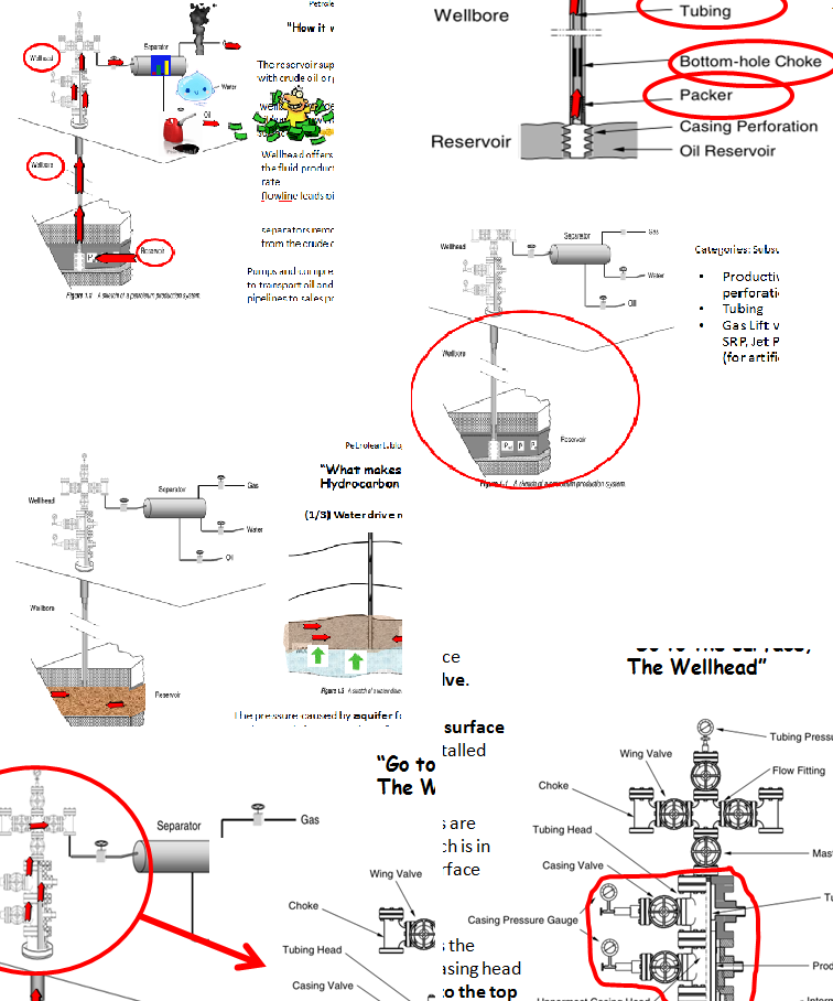 Petroleum Production System