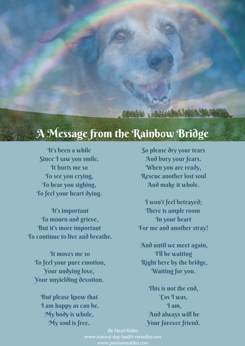 Hundegedichte & mehr / Dog poems & more: A message from the Rainbow Bridge