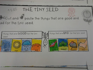 THE TEACHING EXPRESS: OH SAY CAN YOU SEED?