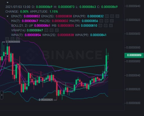 Shiba Inu price at crossroads