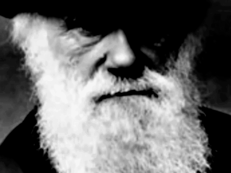 ENORMIO: RICHARD DAWKINS / «El genio de Darwin. El quinto primate ...