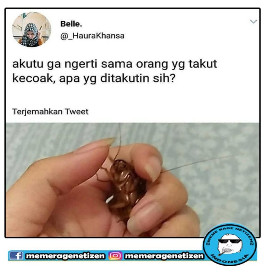 mengapa harus takut kecoa? - Elinotes review