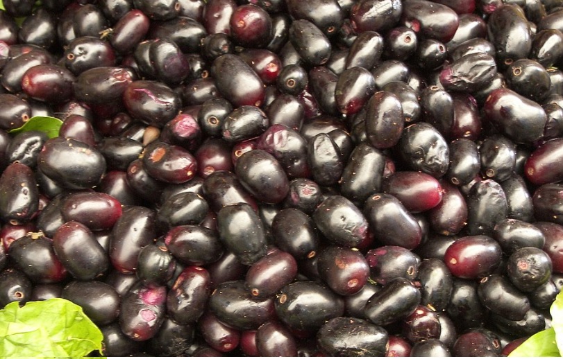 know about kannada and Karnataka: March 2018