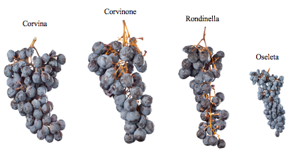 A Walk on the Wine Side: Le Famiglie Storiche: The Ultimate Expression ...