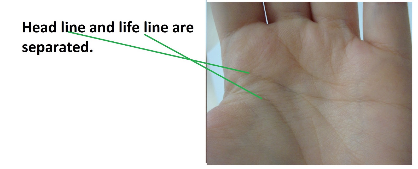 palmistry: Know your Future: I´m interesting know about my ...