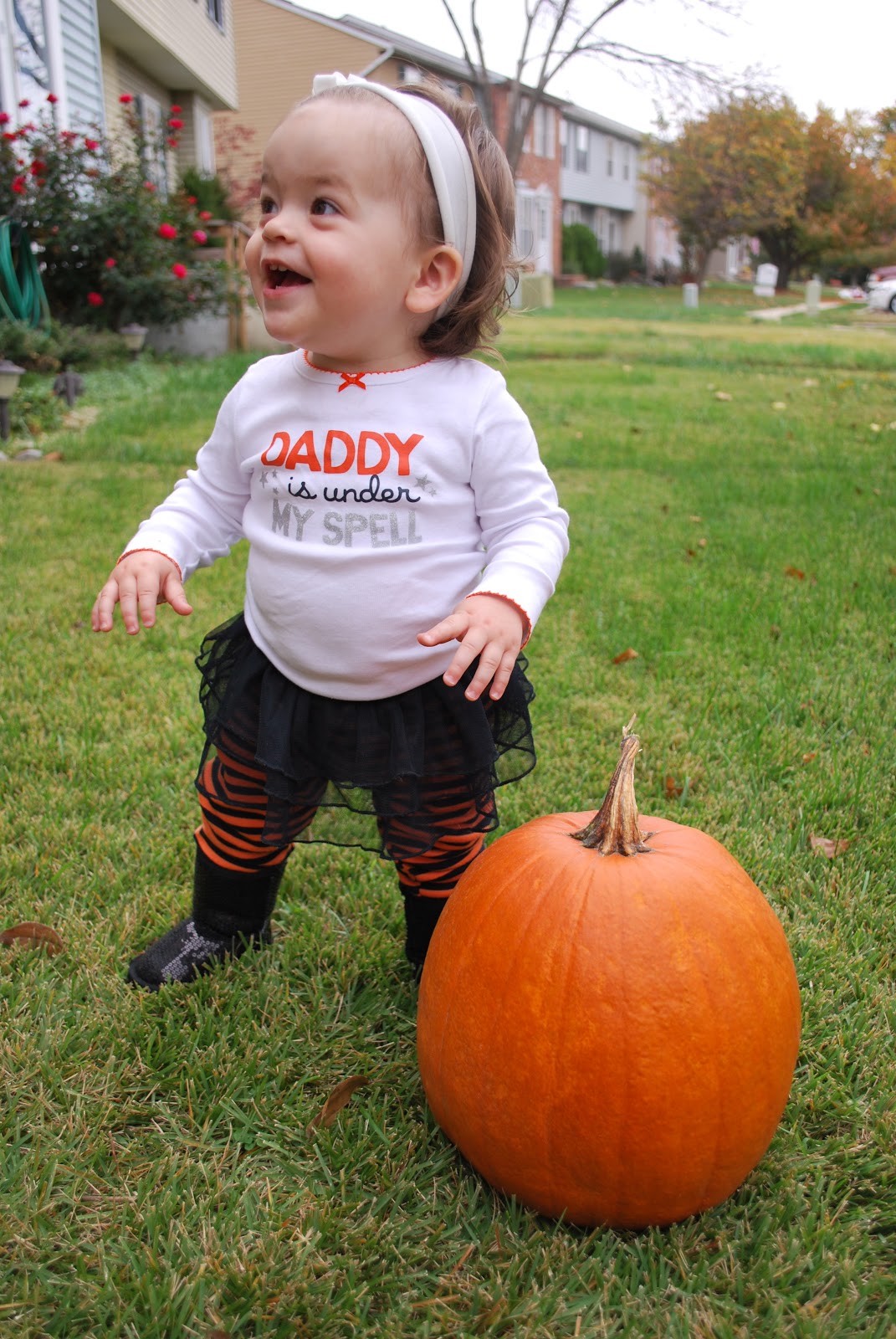Diaper Changes and Doctoral Studies: Outdoor Fall Fun