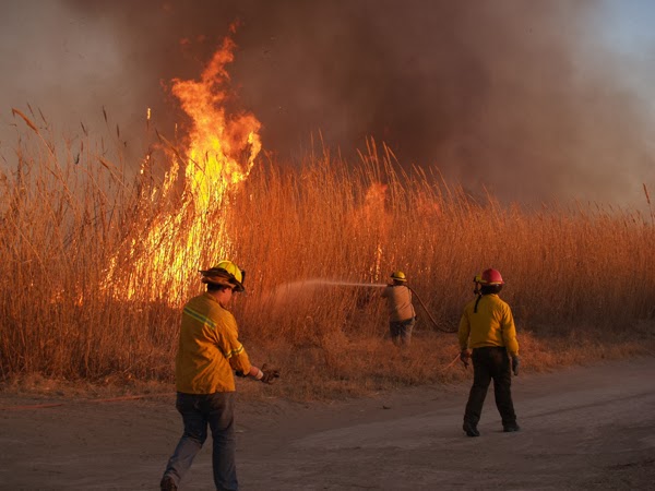 Terlingua Dreams: Fire at Moody Ranch