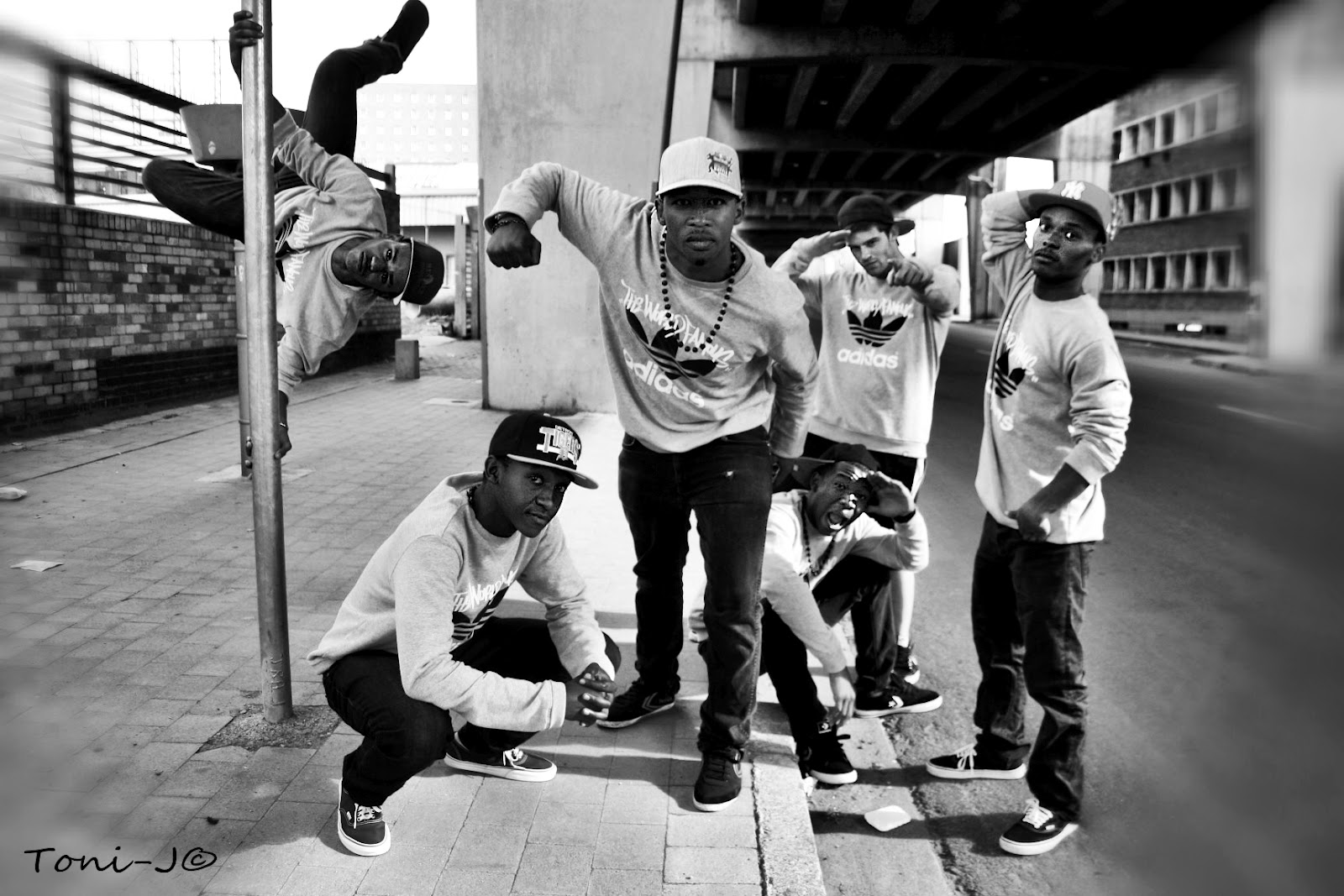 Toni-J: ARTISTIC INTELLIGENCE