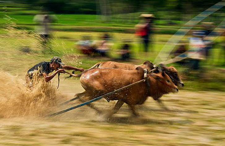 Teknik Fotografi Freezing | Memotret Objek dengan Teknik Freezing ...