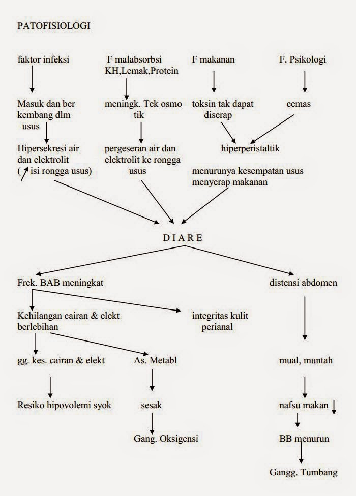 Patofisiologi diare anak | Blog Kesehatan