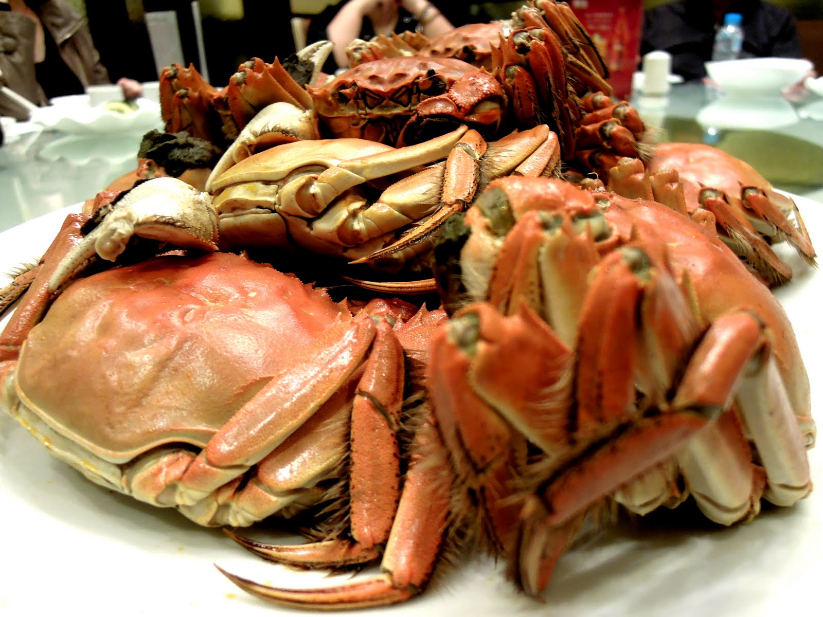 I Am Fat Yu: Hairy Crab!