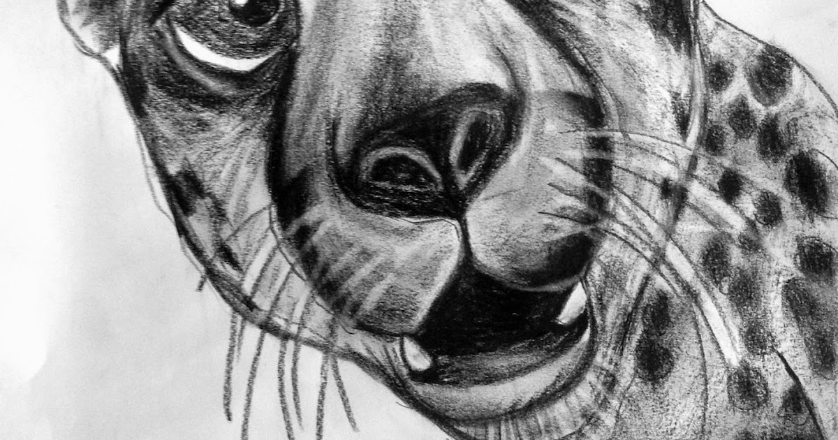 One Point Perspective - Charcoal Distorted Animals.