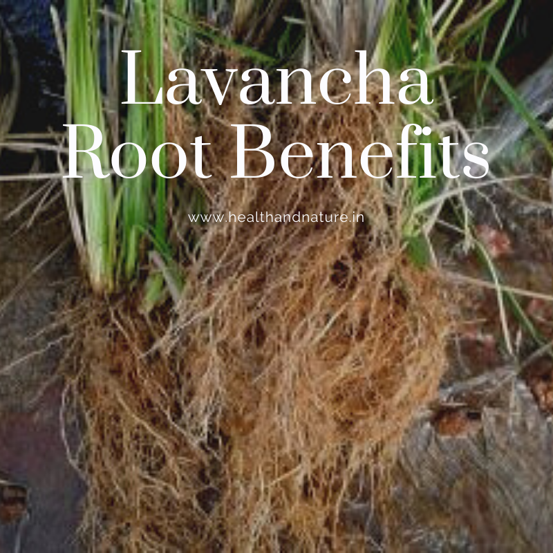 Home Remedies | Healthy Ayurvedic Tips - Go Natural, Be Healthy ...