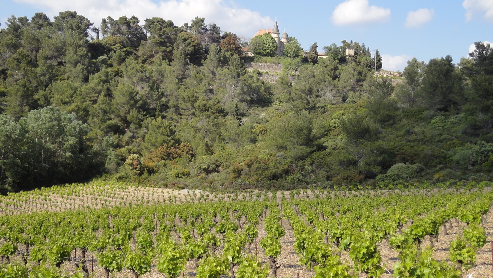 Entre étangs et Corbières